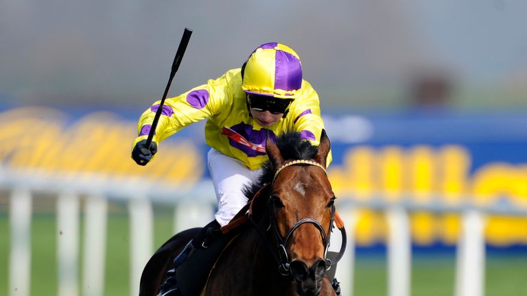 Veteran sprinter starts career based in Ireland | Racing News | Sky Sports