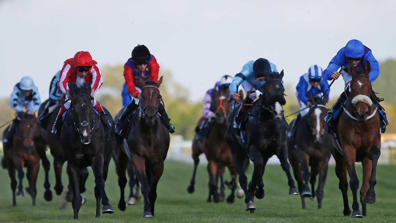 A review from the rest of Saturday's action at Newbury | Racing News ...