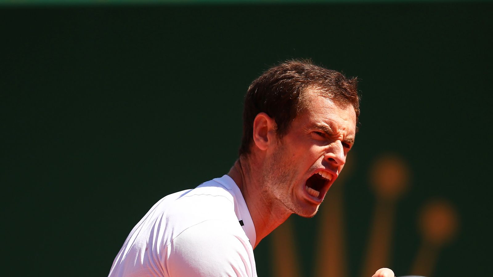 Confidence returning for Andy Murray after elbow injury, says Annabel ...