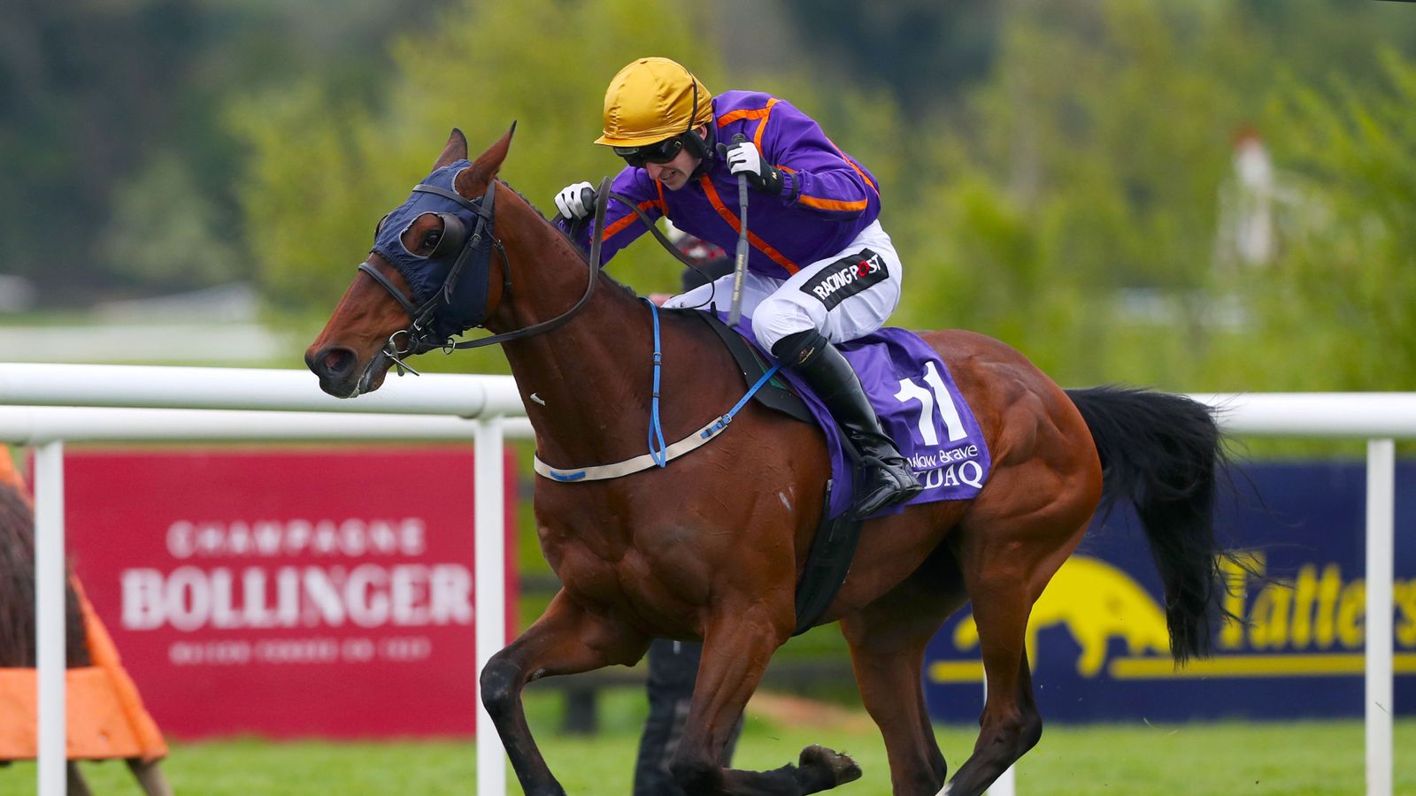 Brave performance from Wicklow | Racing News | Sky Sports