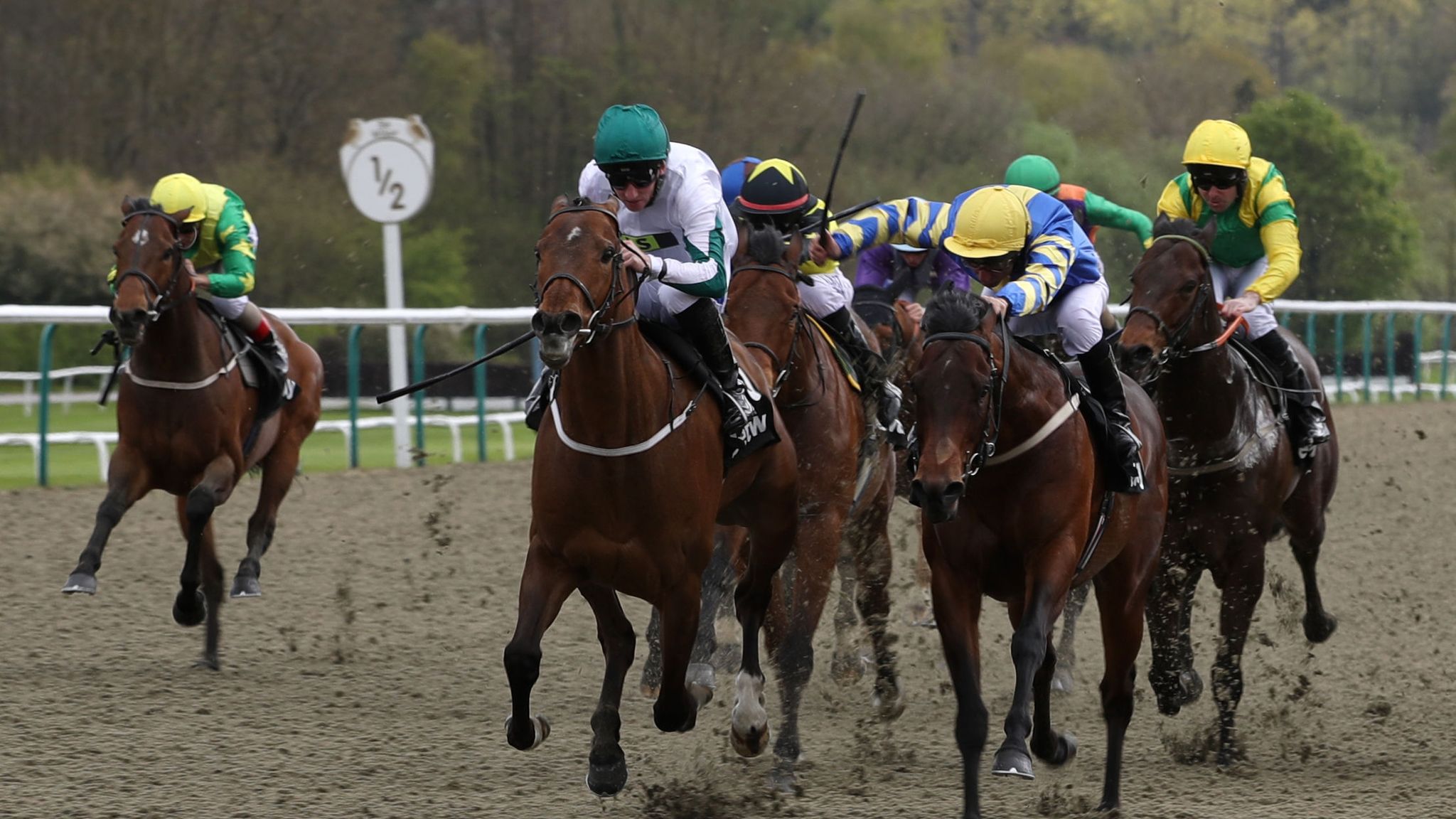 Kimberella wins All-Weather Championships Sprint | Racing News | Sky Sports