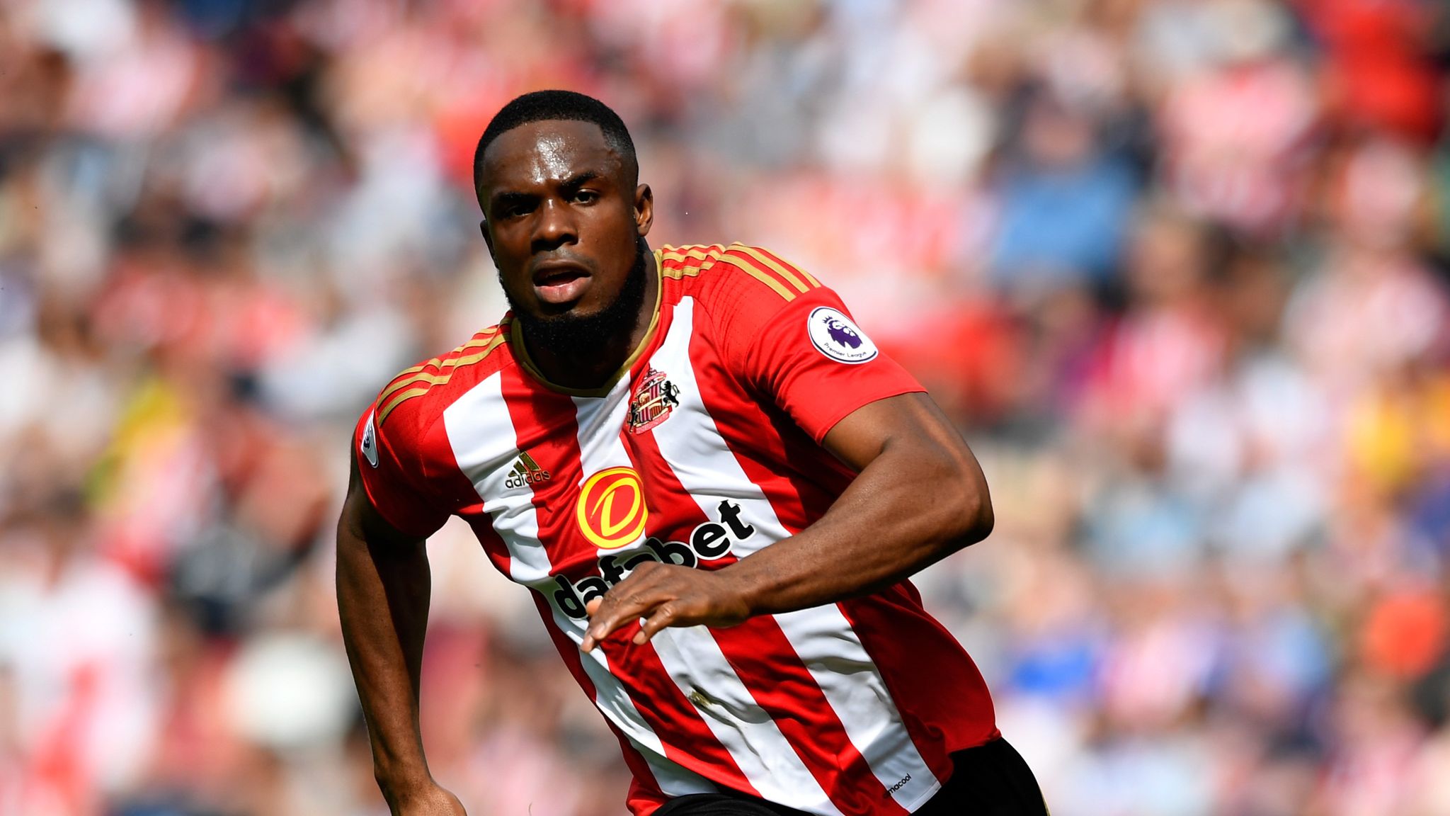 Sunderland's Victor Anichebe says club must keep fighting | Football ...