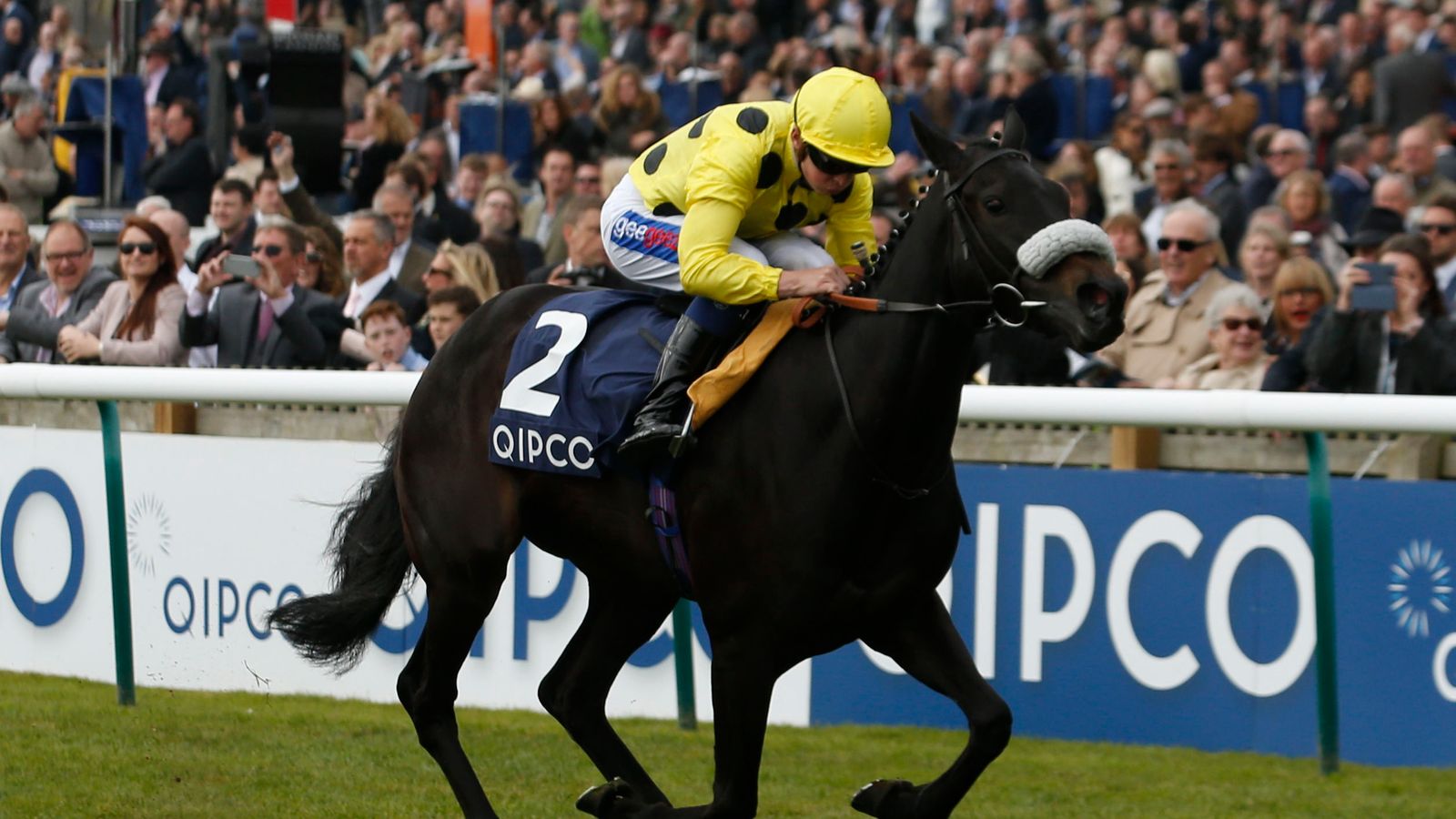 Horseplay In Oaks Frame After Newmarket Win Racing News Sky Sports horseplay-in-oaks-frame-after-newmarket-win-racing-news-sky-sports