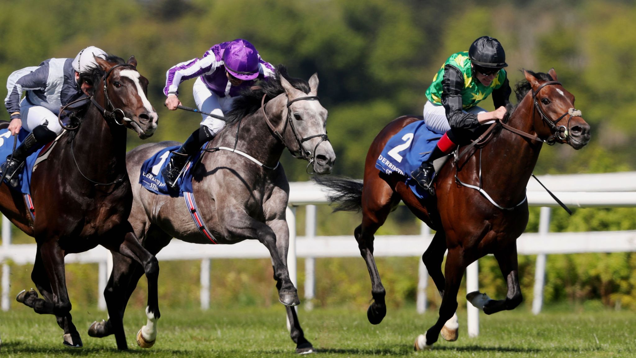 Douglas Macarthur wins Derrinstown Stud Derby Trial | Racing News | Sky ...