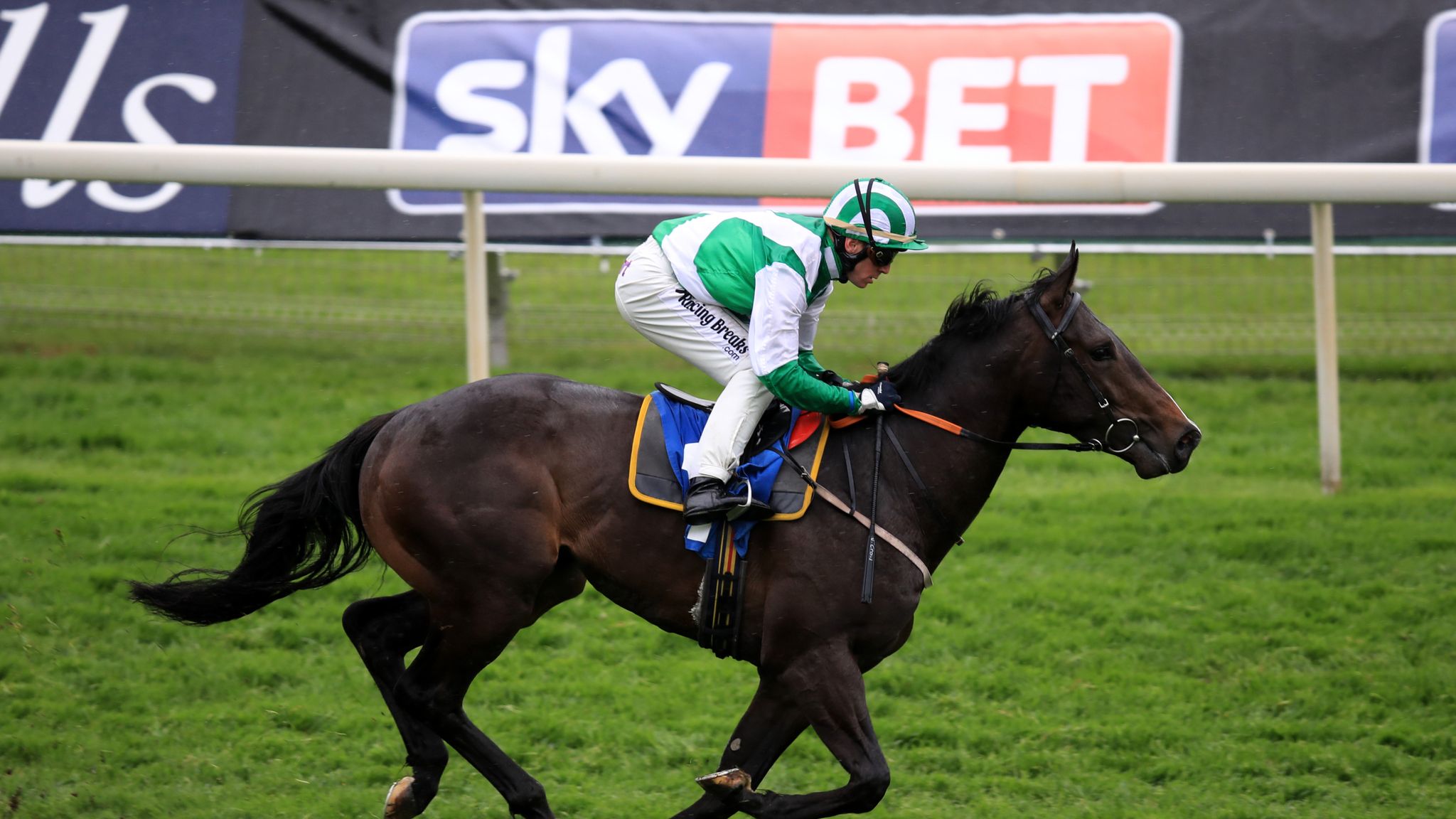 Santry on course for Gimcrack Stakes at York | Racing News | Sky Sports