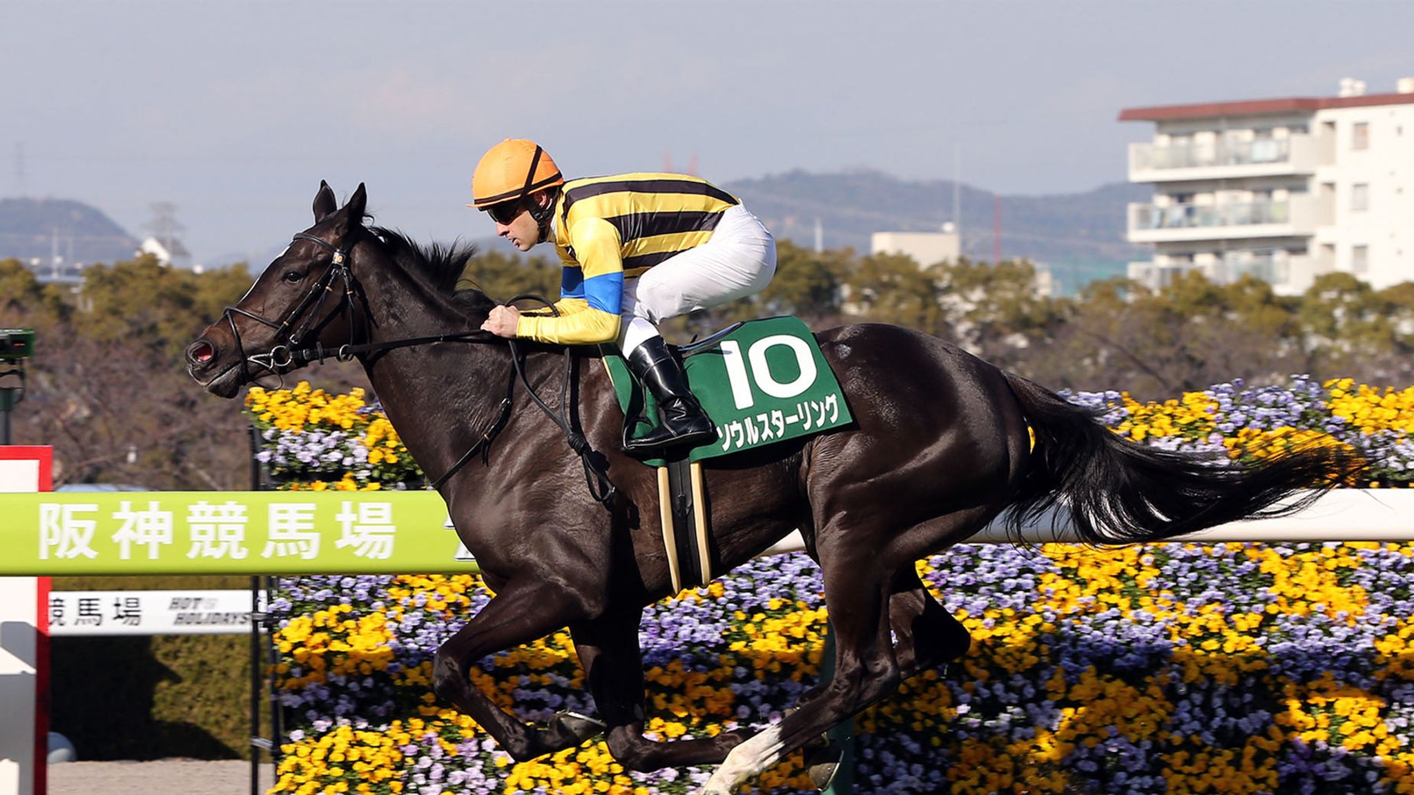 Soul Stirring became the first progeny of Frankel to claim Classic ...