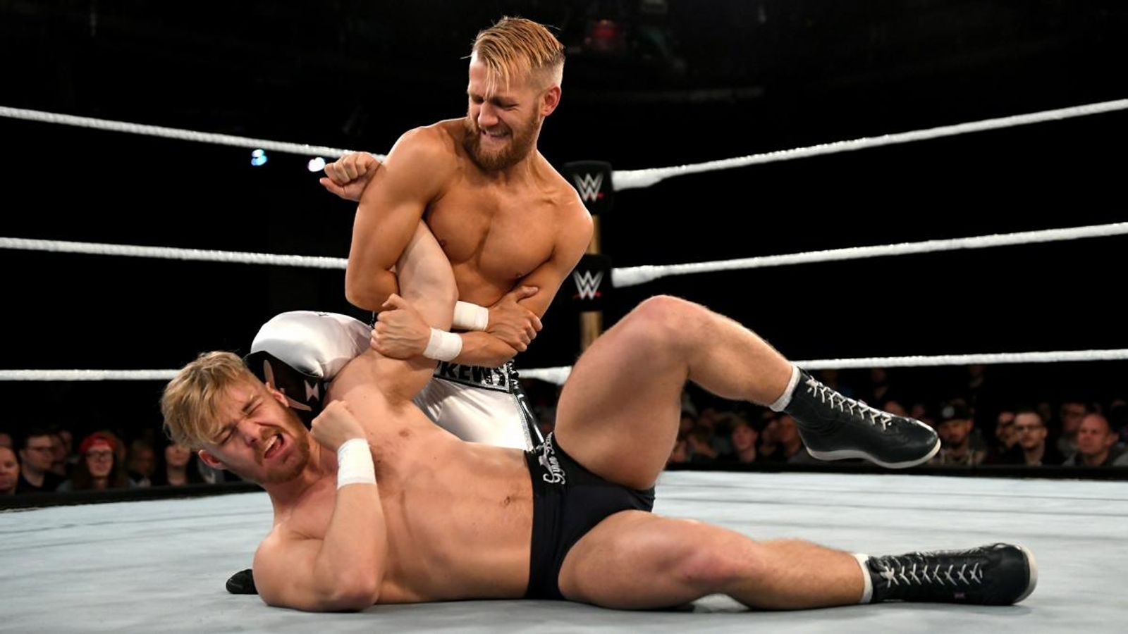 Mark Andrews injured at WWE event | Snooker News | Sky Sports