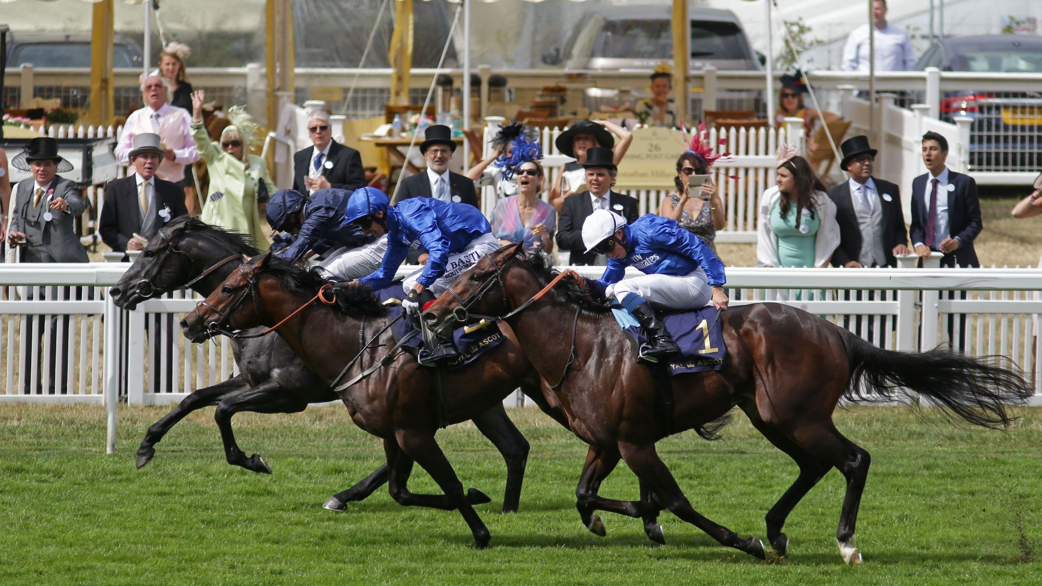 Charlie Appleby sharpens Point for Haydock | Racing News | Sky Sports