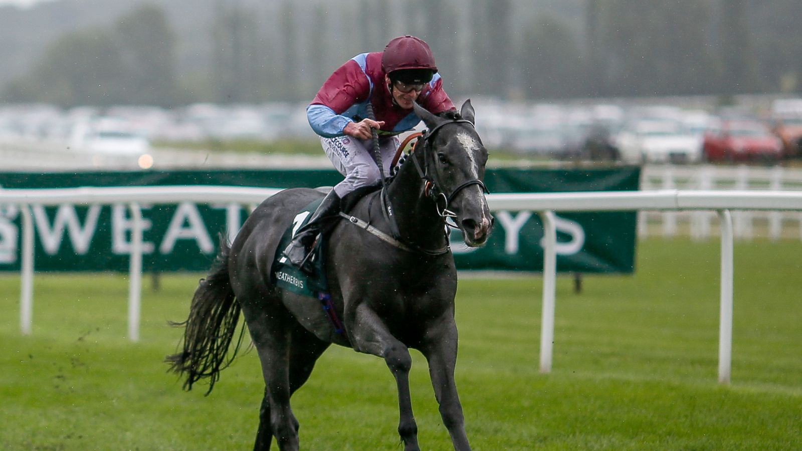 Tom Clover eyes York for Declarationoflove | Racing News | Sky Sports