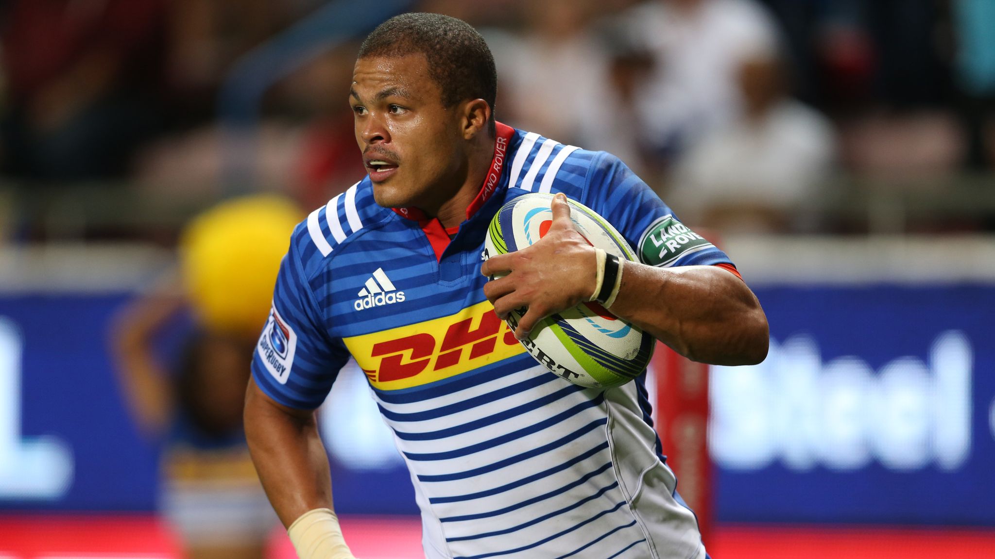 Juan de Jongh chats Springbok return dreams, Wasps' Premiership ...