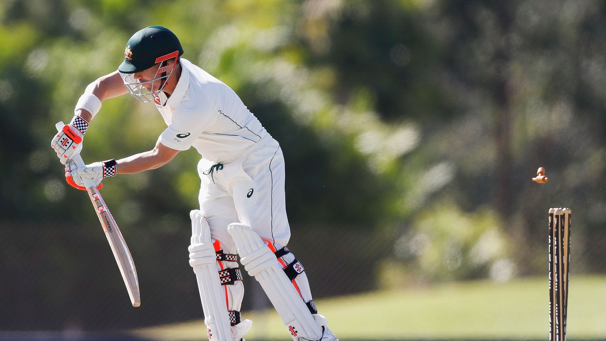 Australian batsman David Warner given all-clear after being struck on ...