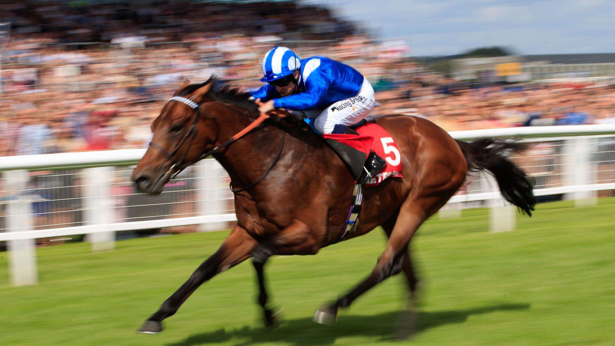 Owen Burrows is looking forward to an exciting autumn with Massaat ...