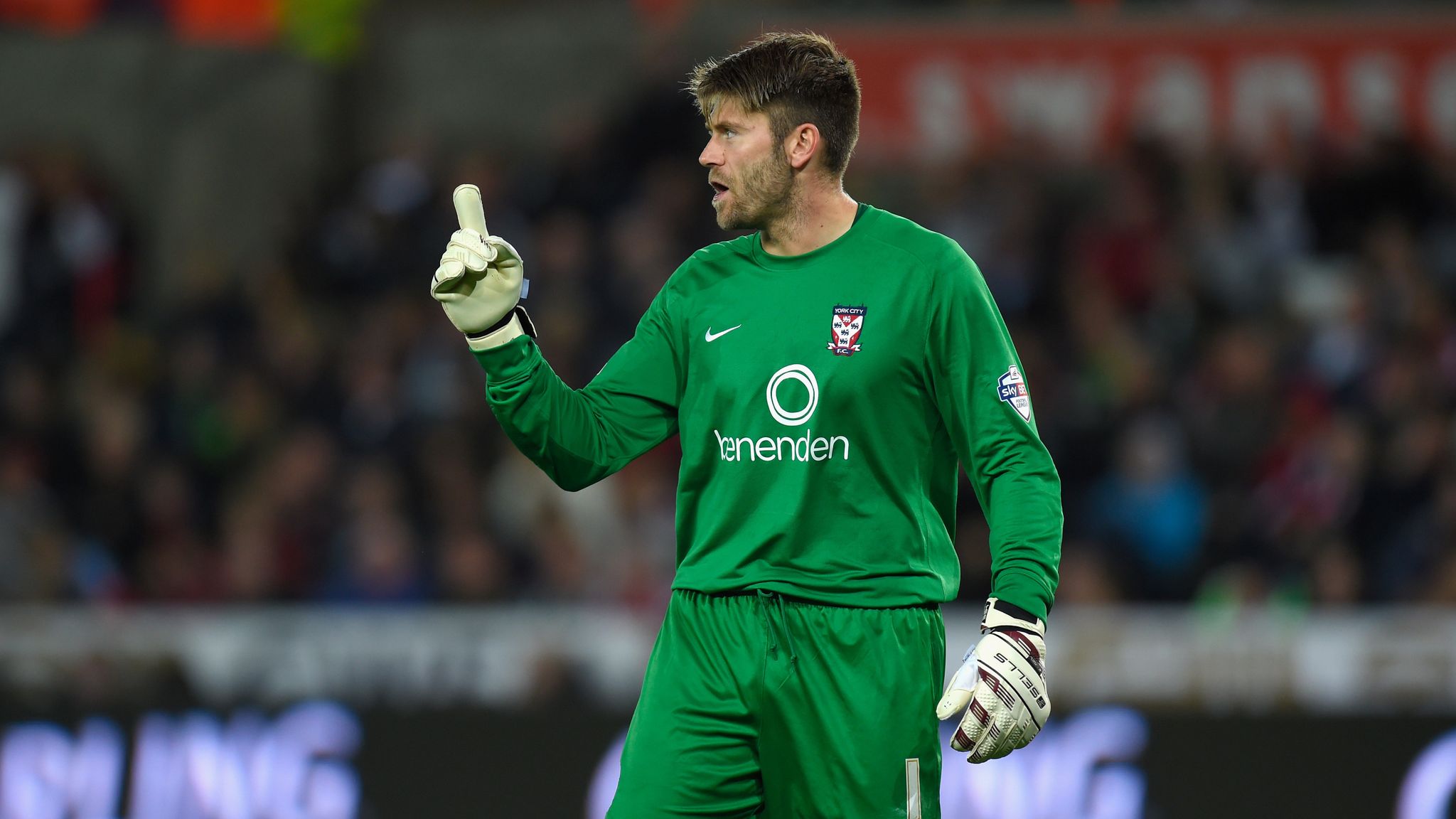 Cheltenham sign keeper Scott Flinders on free transfer | Football News ...