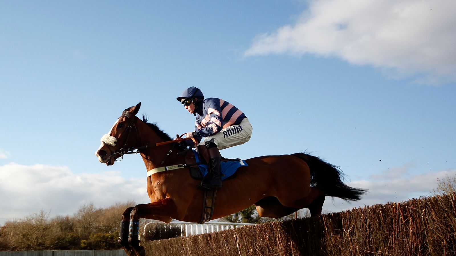 Gary Moore's stable stars aimed at possible Exeter return | Racing News ...