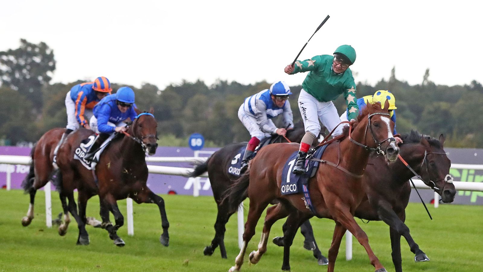 Decorated Knight claims Irish Champion | Racing News | Sky Sports