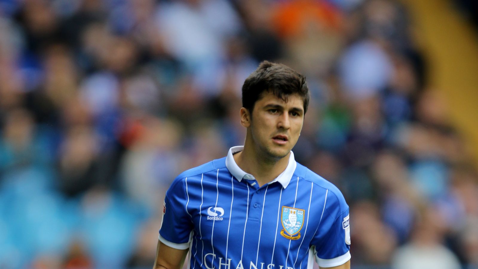 Sheffield Wednesday's Fernando Forestieri ruled out for three months ...