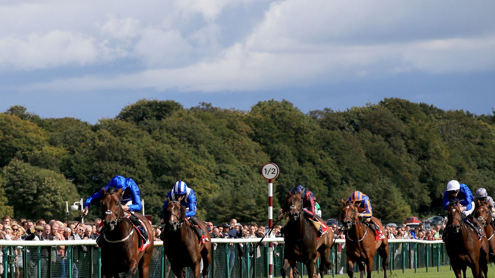 Harry Angel cranks up the revs for Champions Day | Racing News | Sky Sports