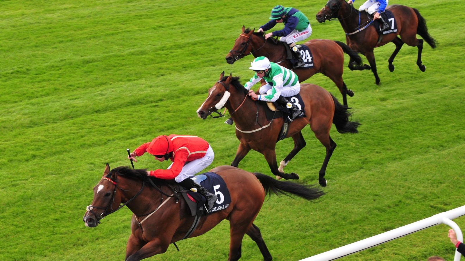 Ice Age has Ayr Gold Cup hope | Racing News | Sky Sports