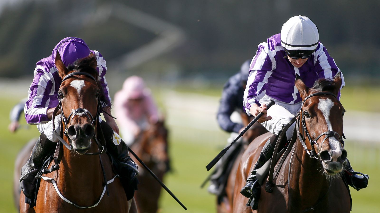 Irish racing to tighten whip rules | Racing News | Sky Sports