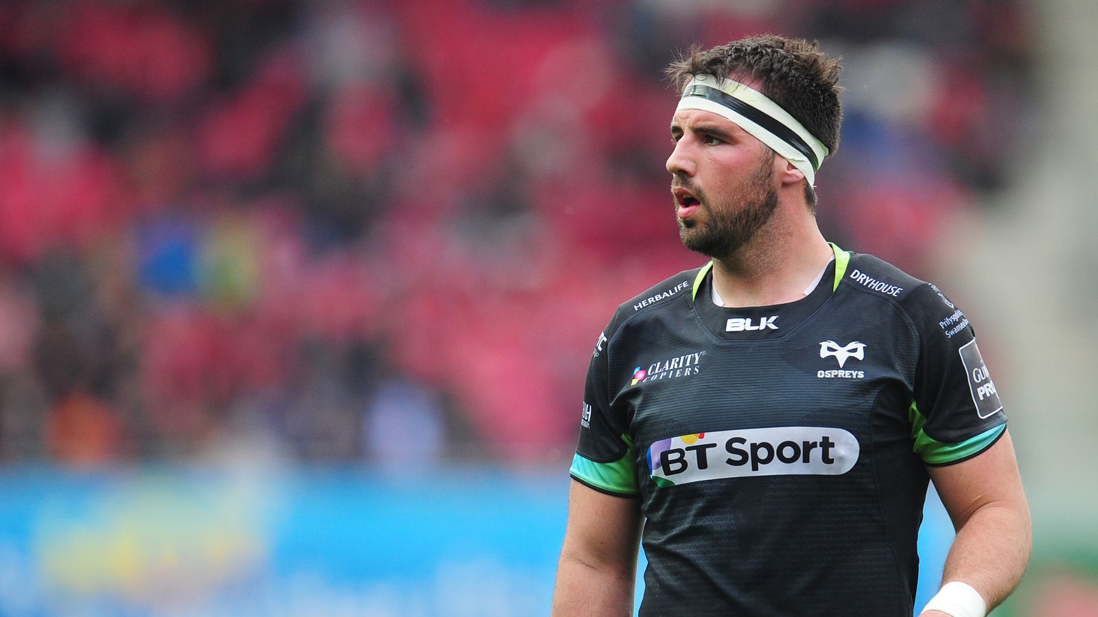 Scott Baldwin apologises after being bitten by a lion | Rugby Union ...