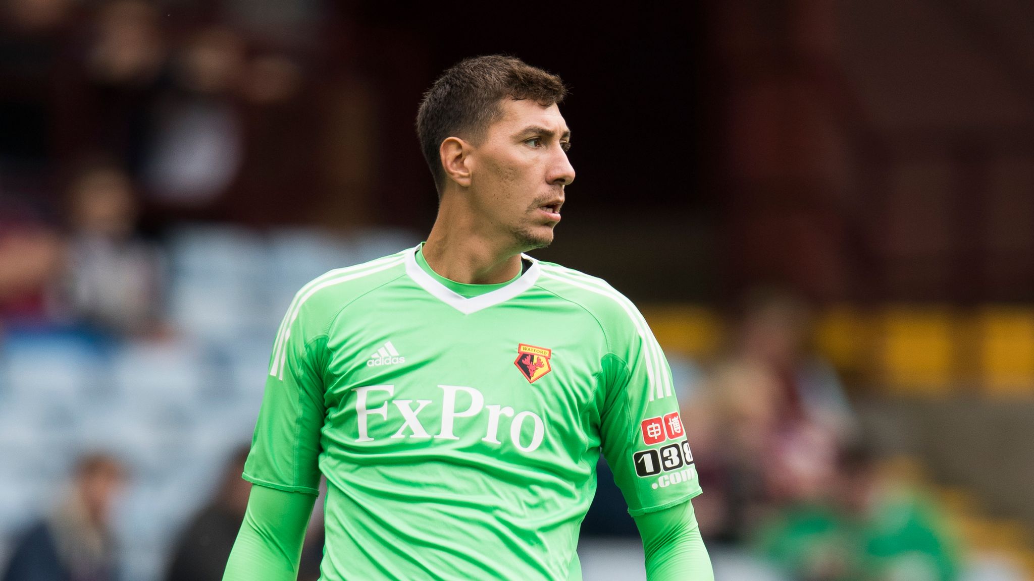 Watford's Costel Pantilimon joins Deportivo La Coruna on loan ...