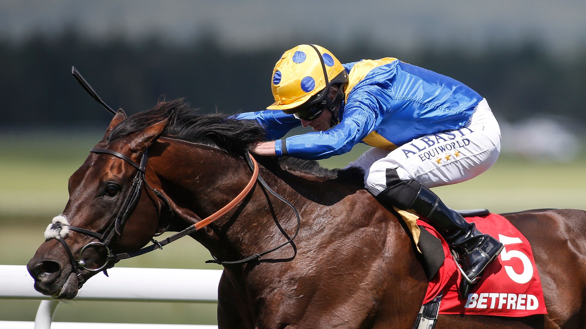 Poet s Word To Sidestep Irish Test Racing News Sky Sports poet-s-word-to-sidestep-irish-test-racing-news-sky-sports