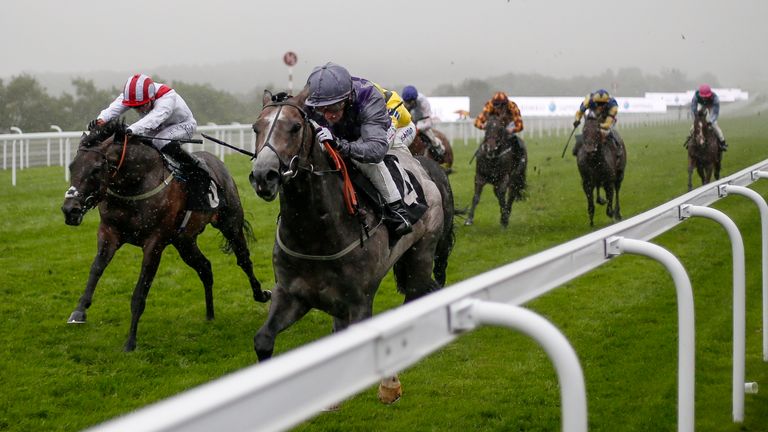 Invincible Army signed off by James Tate | Racing News | Sky Sports