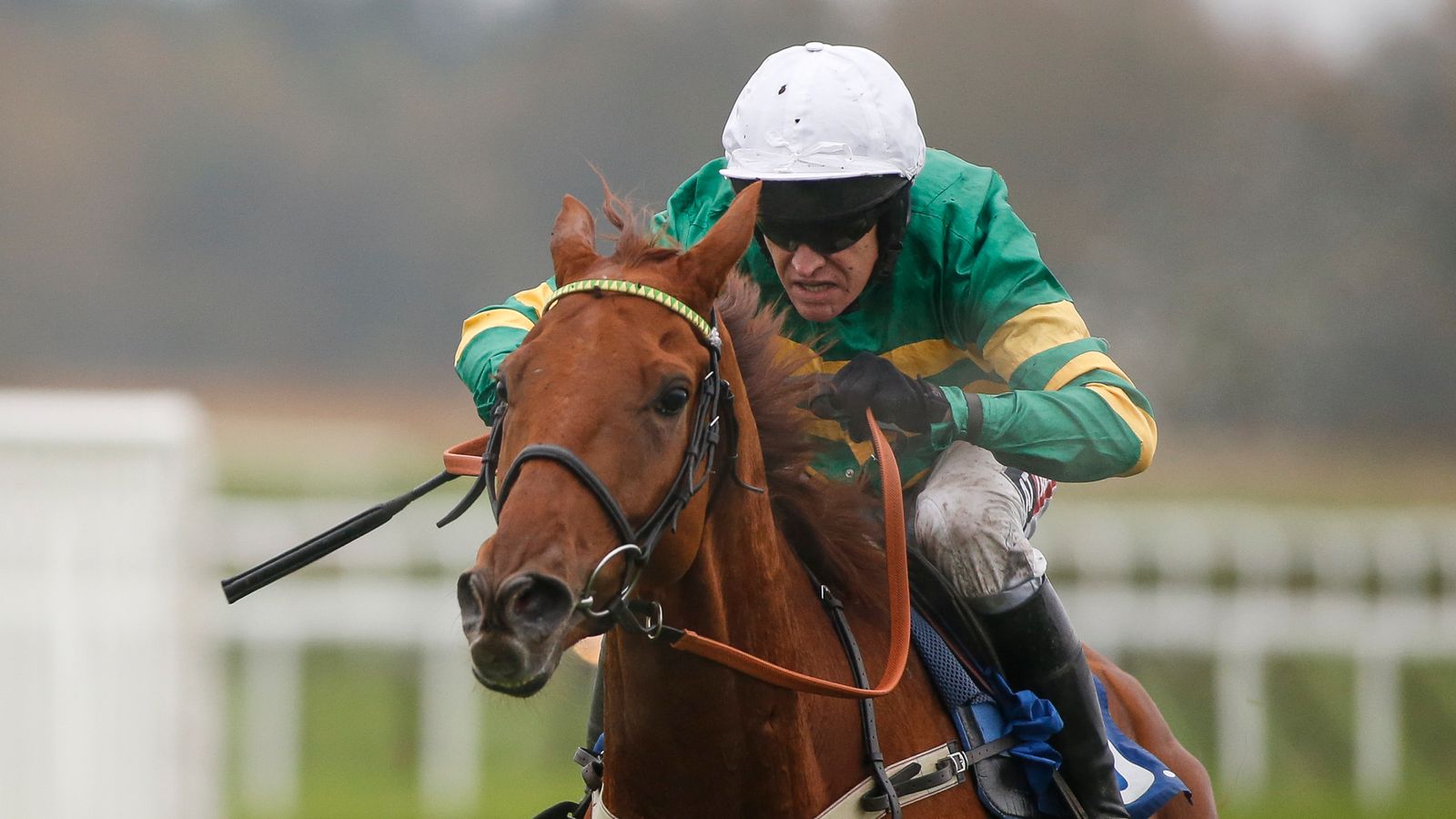 Trainer Alan King eyes Newbury for Yanworth | Racing News | Sky Sports