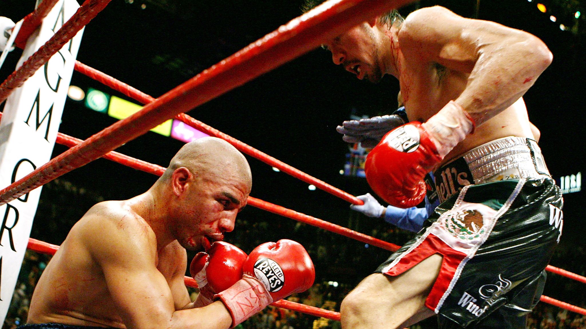 The Panel pick their magical Miguel Cotto moments as he fights for the ...