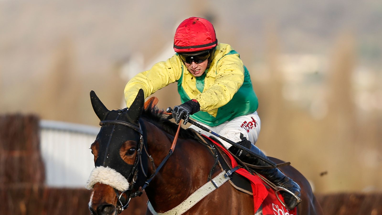 Fox Norton team turn thoughts to Cheltenham | Racing News | Sky Sports