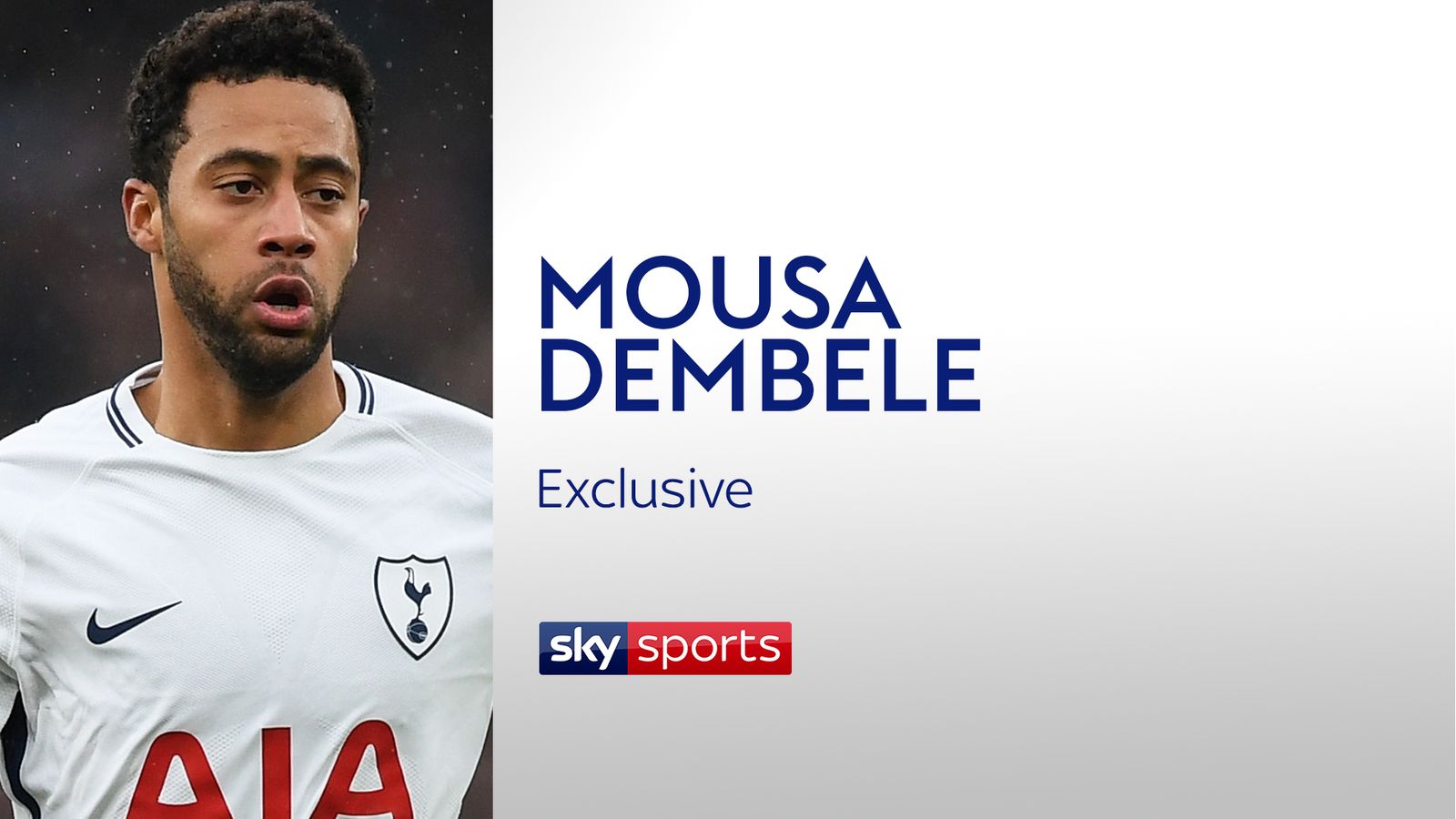 Mousa Dembele: Spurs' perfection quest under Mauricio Pochettino ...