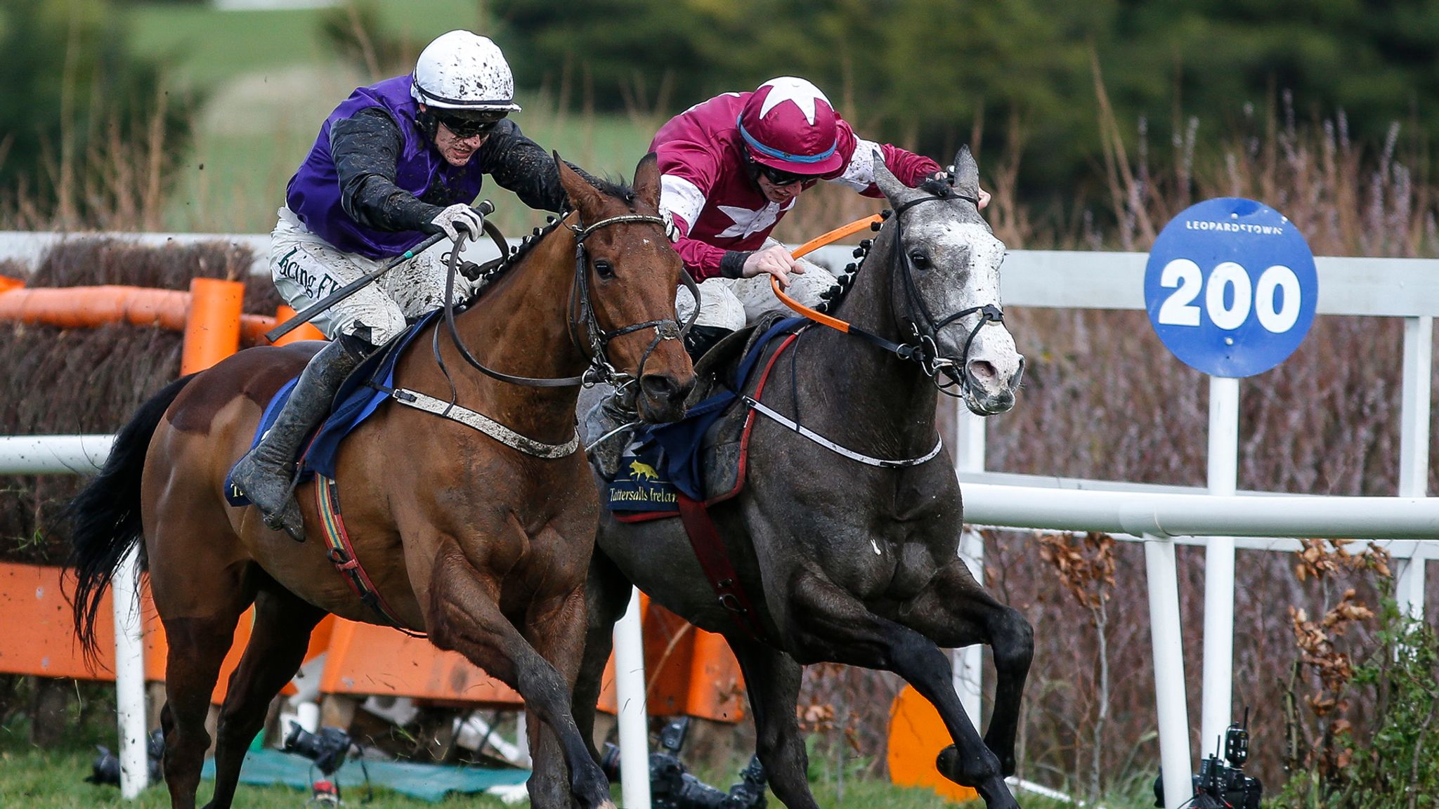 Mr Adjudicator wins in France for Willie Mullins | Racing News | Sky Sports