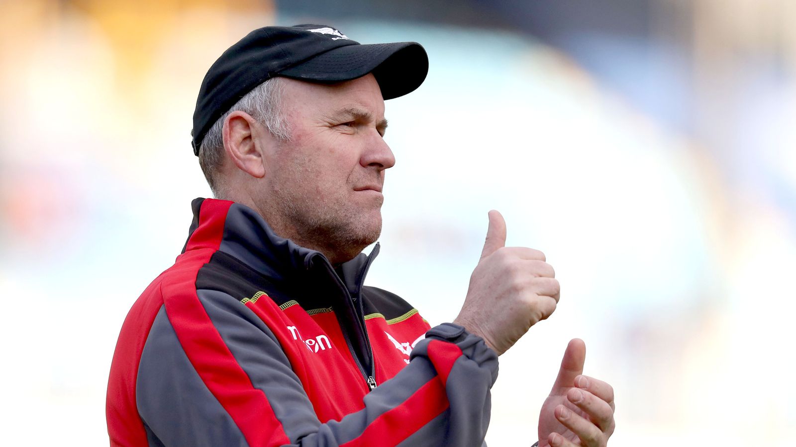 WRU hold talks with Scarlets' Wayne Pivac about succeeding Warren ...