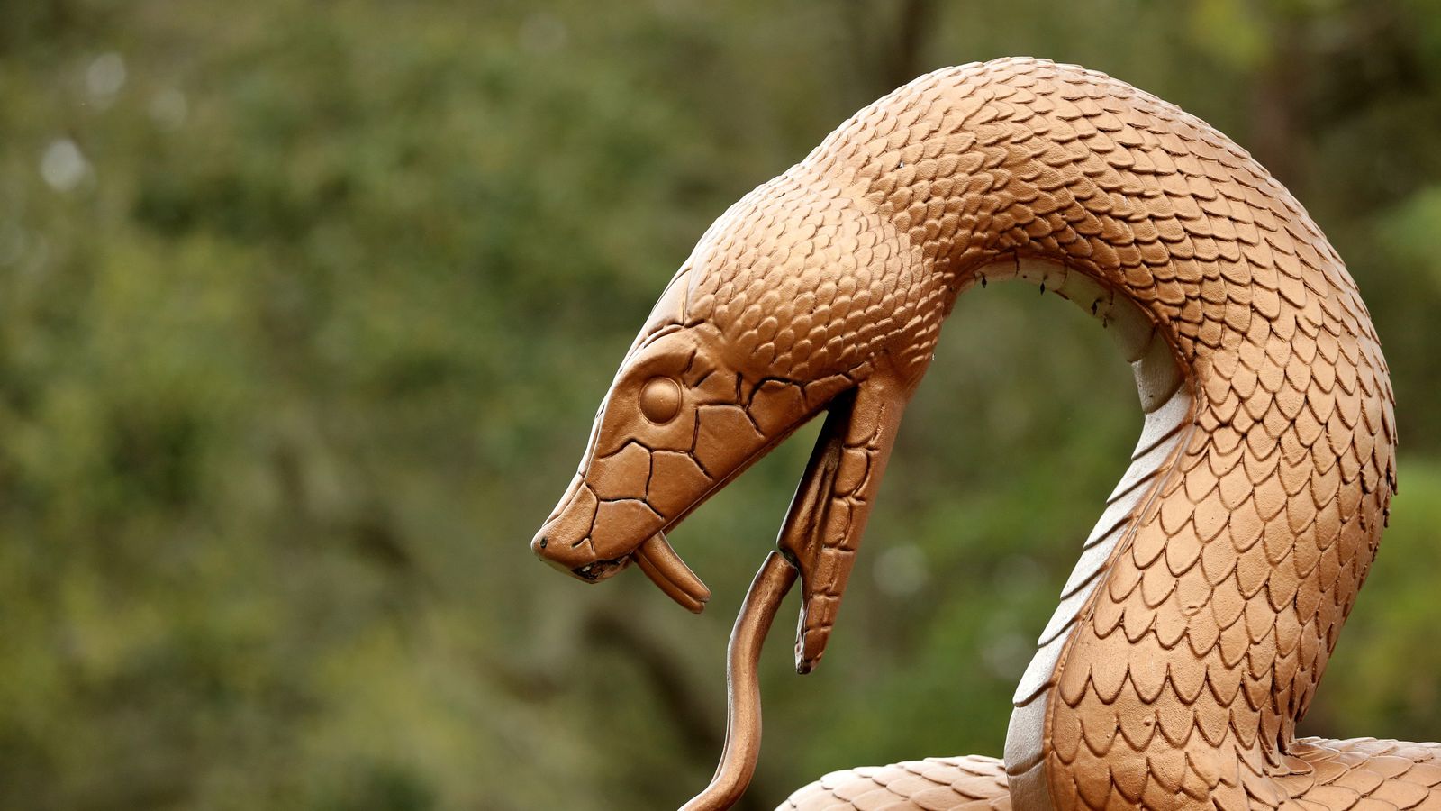 Valspar Championship: Best and worst of the 'Snake Pit' challenge ...