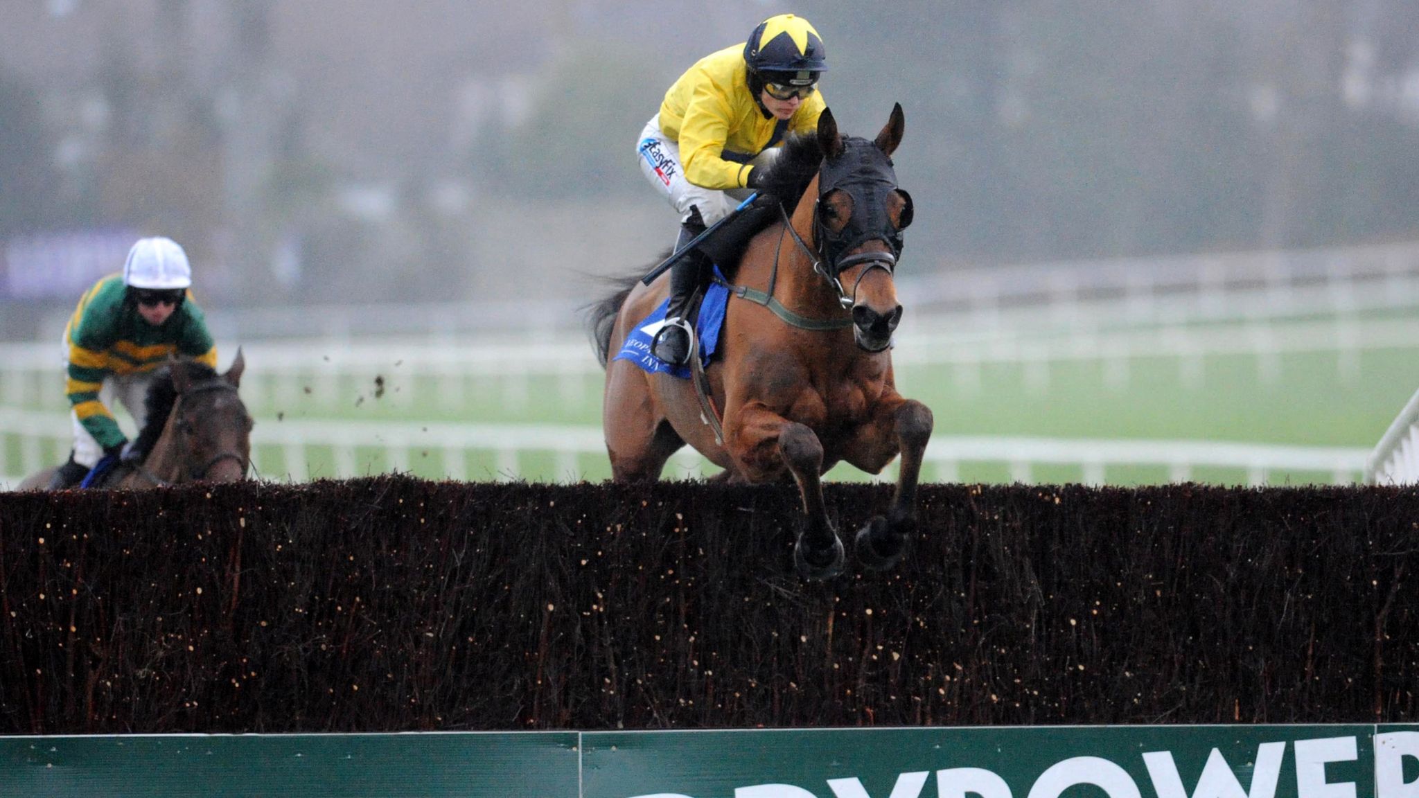 Tully East leads Alan Fleming Cheltenham team | Racing News | Sky Sports