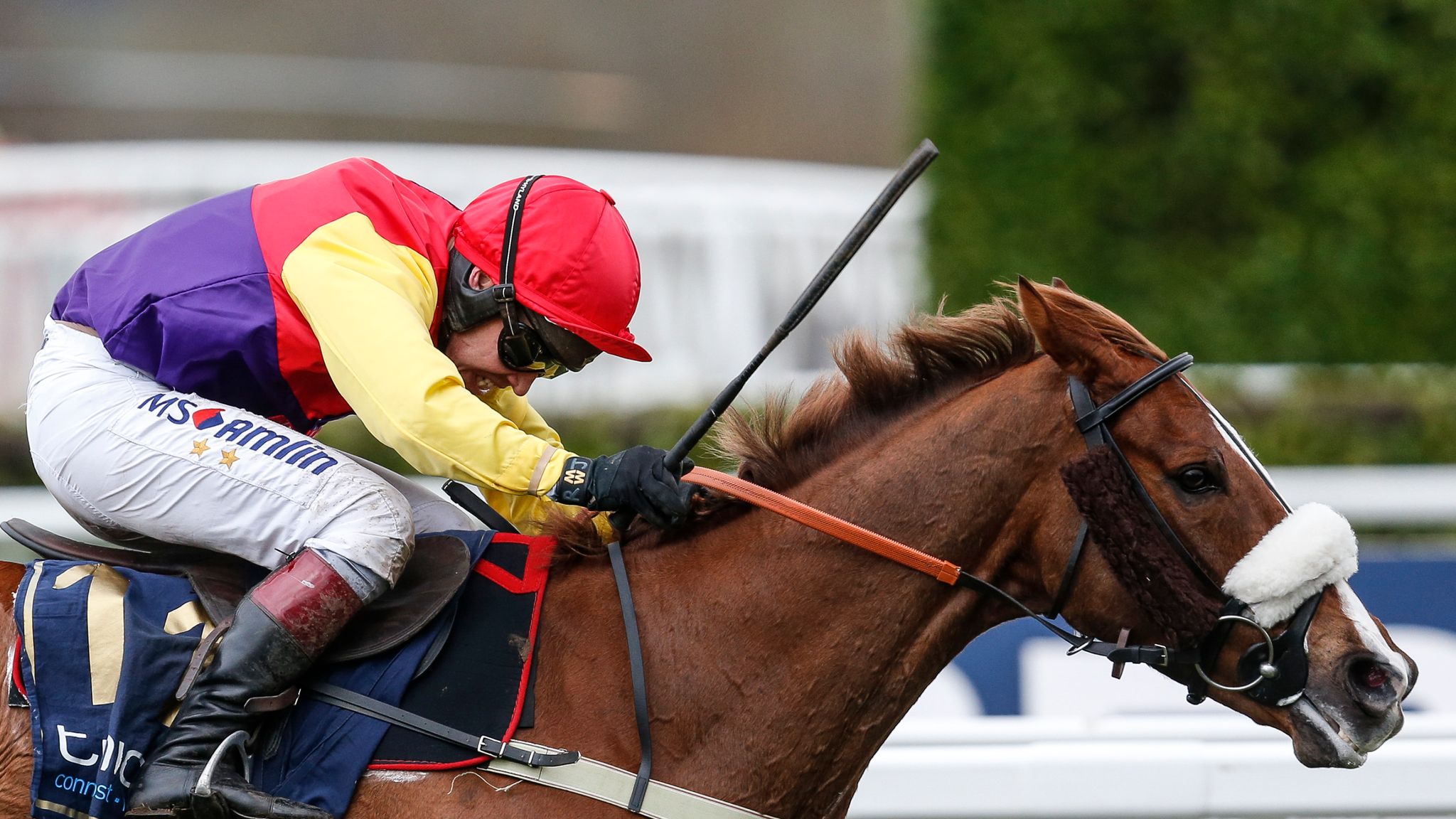 Native River heads straight to Cheltenham Festival | Racing News | Sky ...