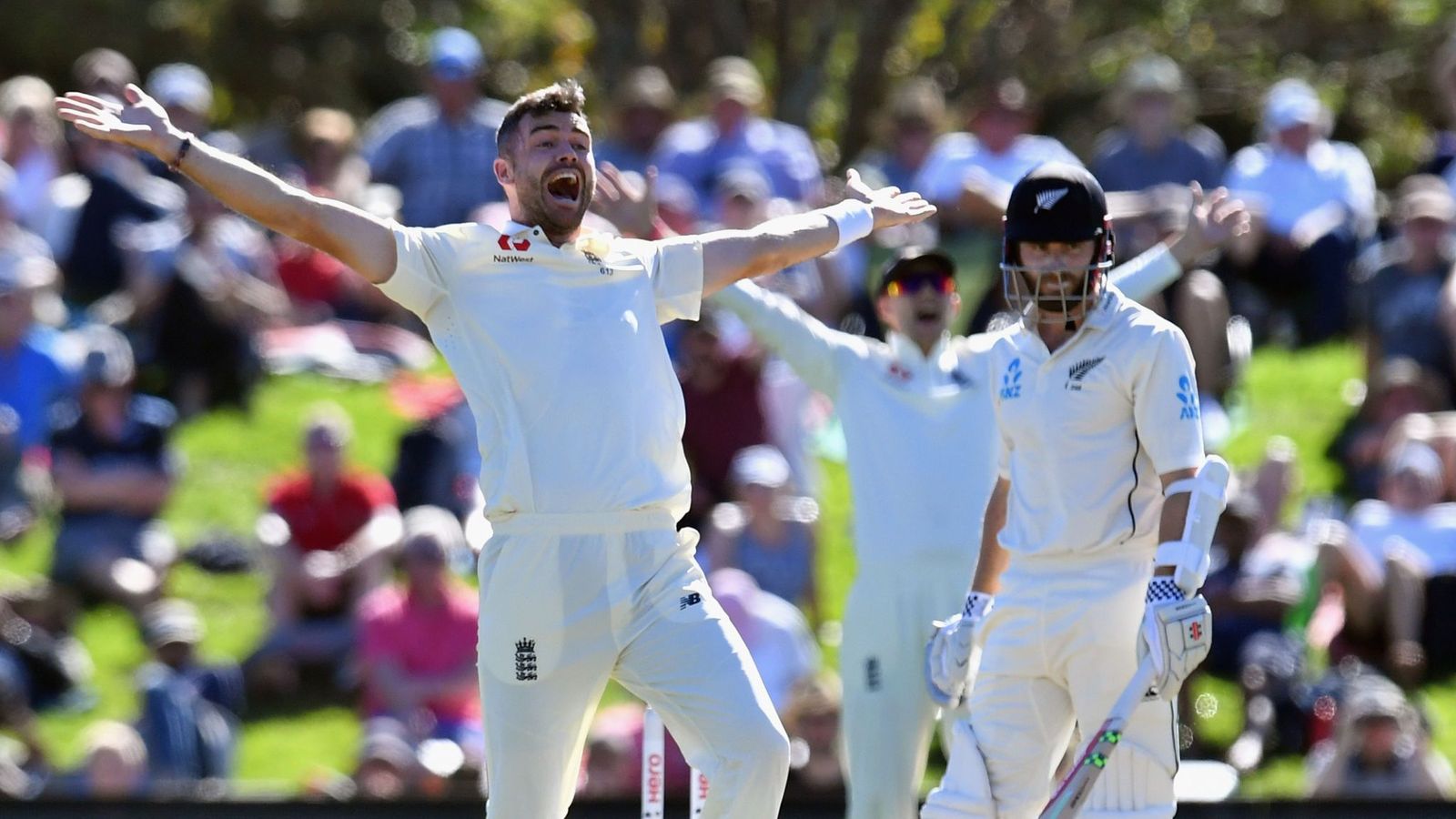 NZ v England: T2 D3 Highlights | Sky Sports