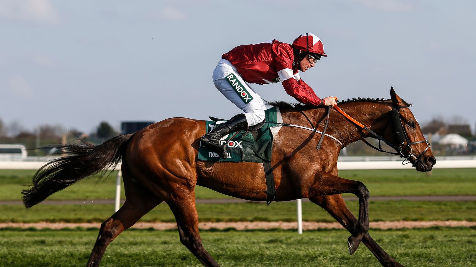 Tiger Roll roars to victory at Navan | Racing News | Sky Sports
