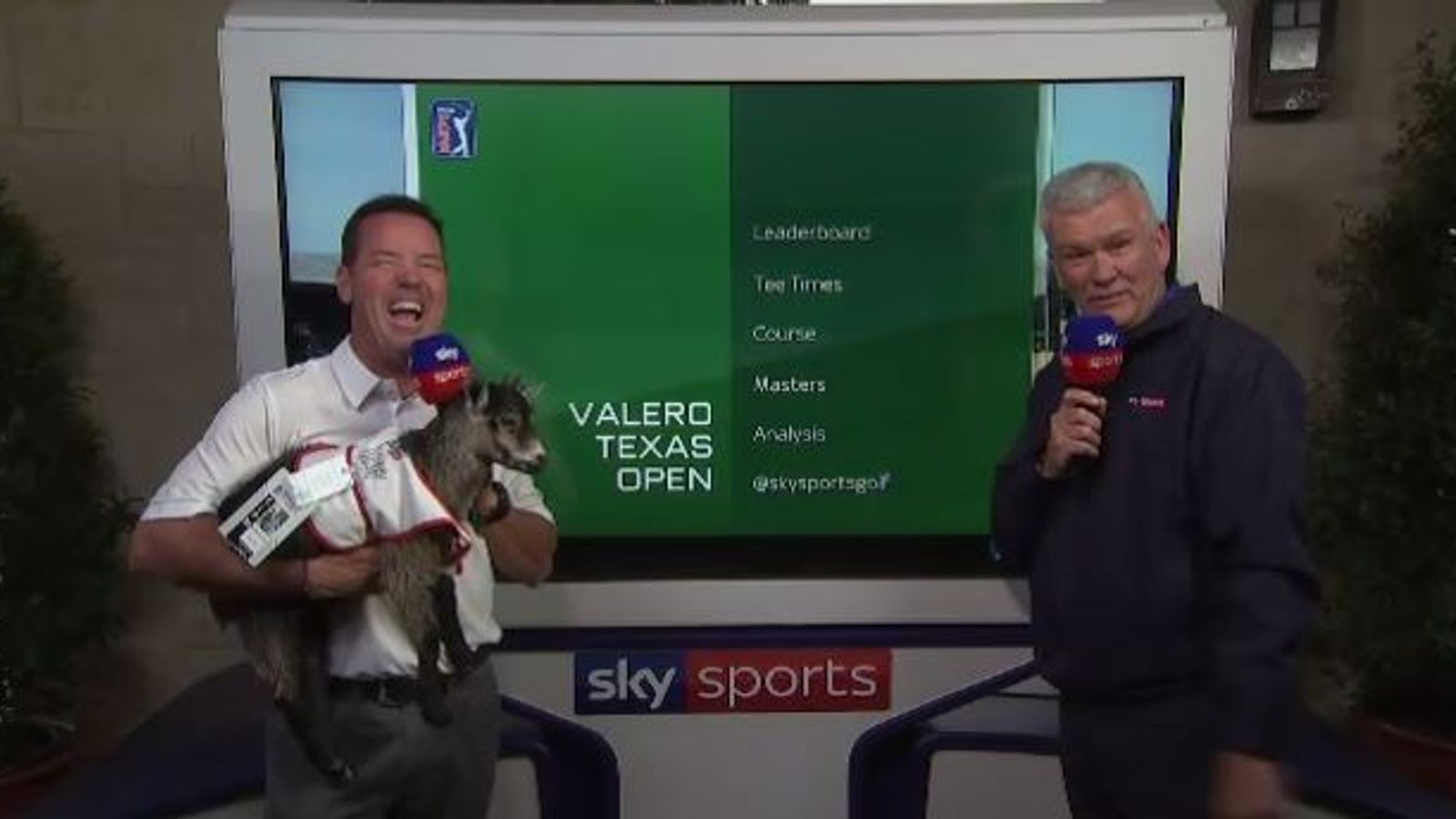 Baby goat Faaaabel the unofficial mascot at Valero Texas Open | Golf ...