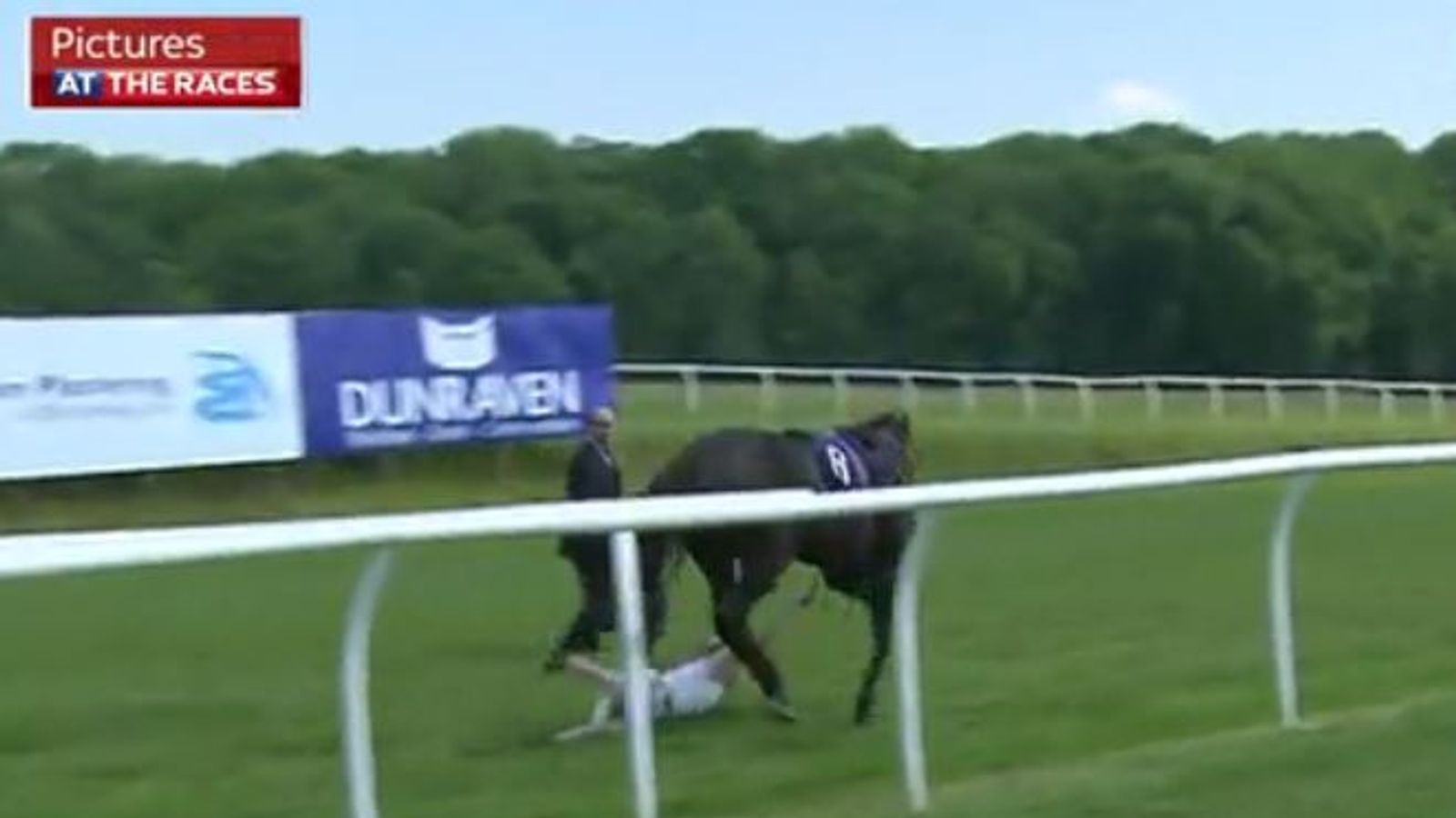 Presenter tackles racehorse! | Sky Sports