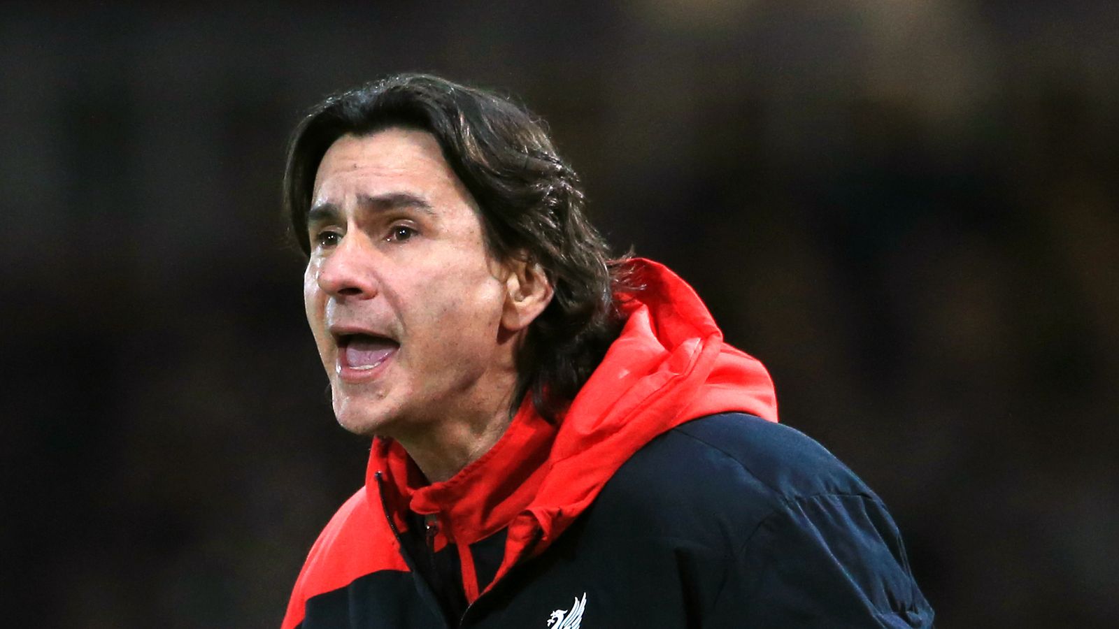 Zeljko Buvac wanted as new Arsenal manager by head of recruitment Sven ...