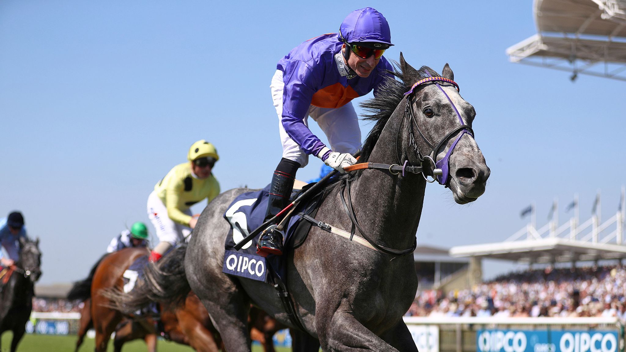 Grey Britain wins at Newmarket | Racing News | Sky Sports