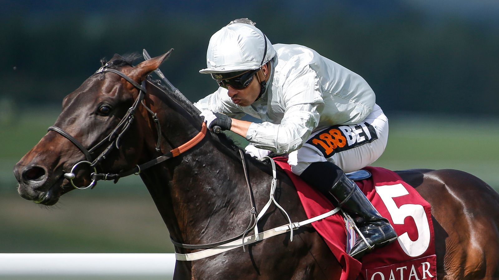 Dee Ex Bee heads Sagaro Stakes seven at Ascot on Wednesday | Racing ...