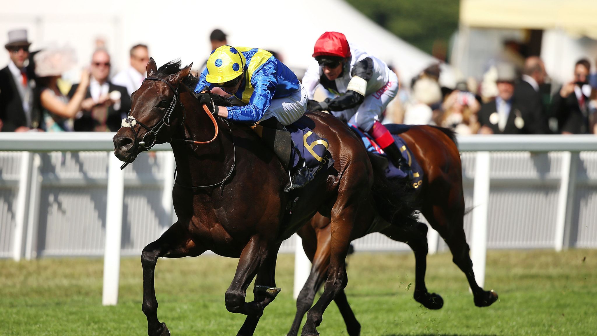 Poet's Word denies Cracksman as Sir Michael Stoute breaks Royal Ascot ...