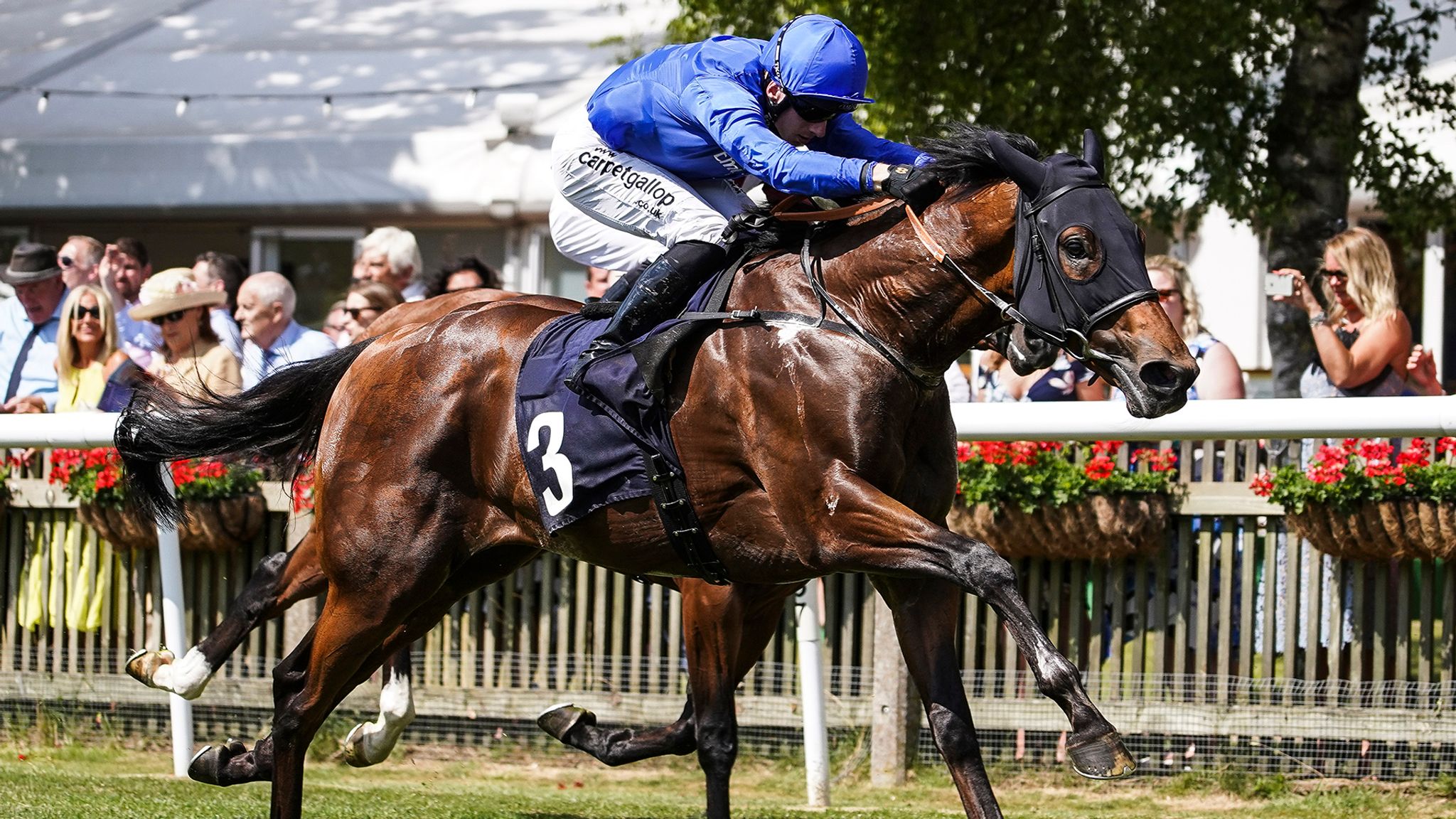 Newmarket ground in good shape ahead of July meeting | Racing News ...