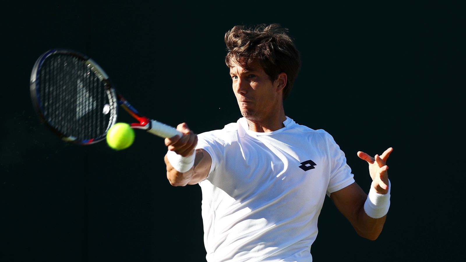 Harry Kane is my inspiration, says Aljaz Bedene | Tennis News | Sky Sports