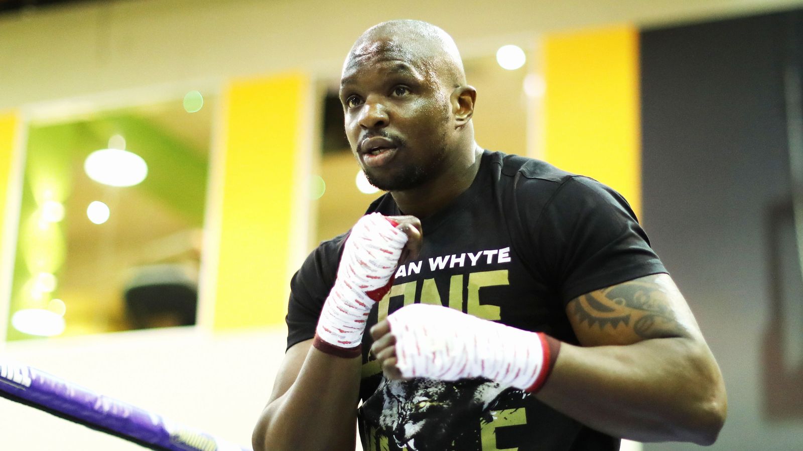 Whyte-Chisora 2: Dillian Whyte and Derek Chisora will display ring ...