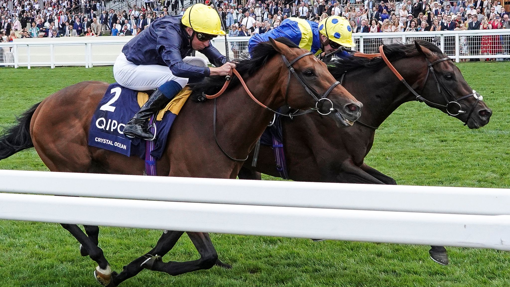 Poet's Word primed for Juddmonte International | Racing News | Sky Sports