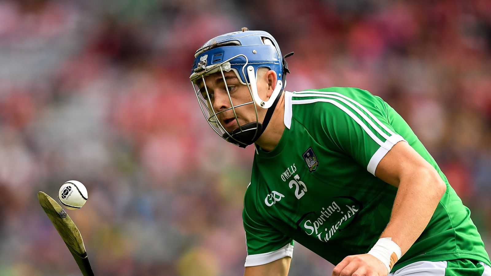 Limerick's David Reidy trod the road less travelled | GAA News | Sky Sports