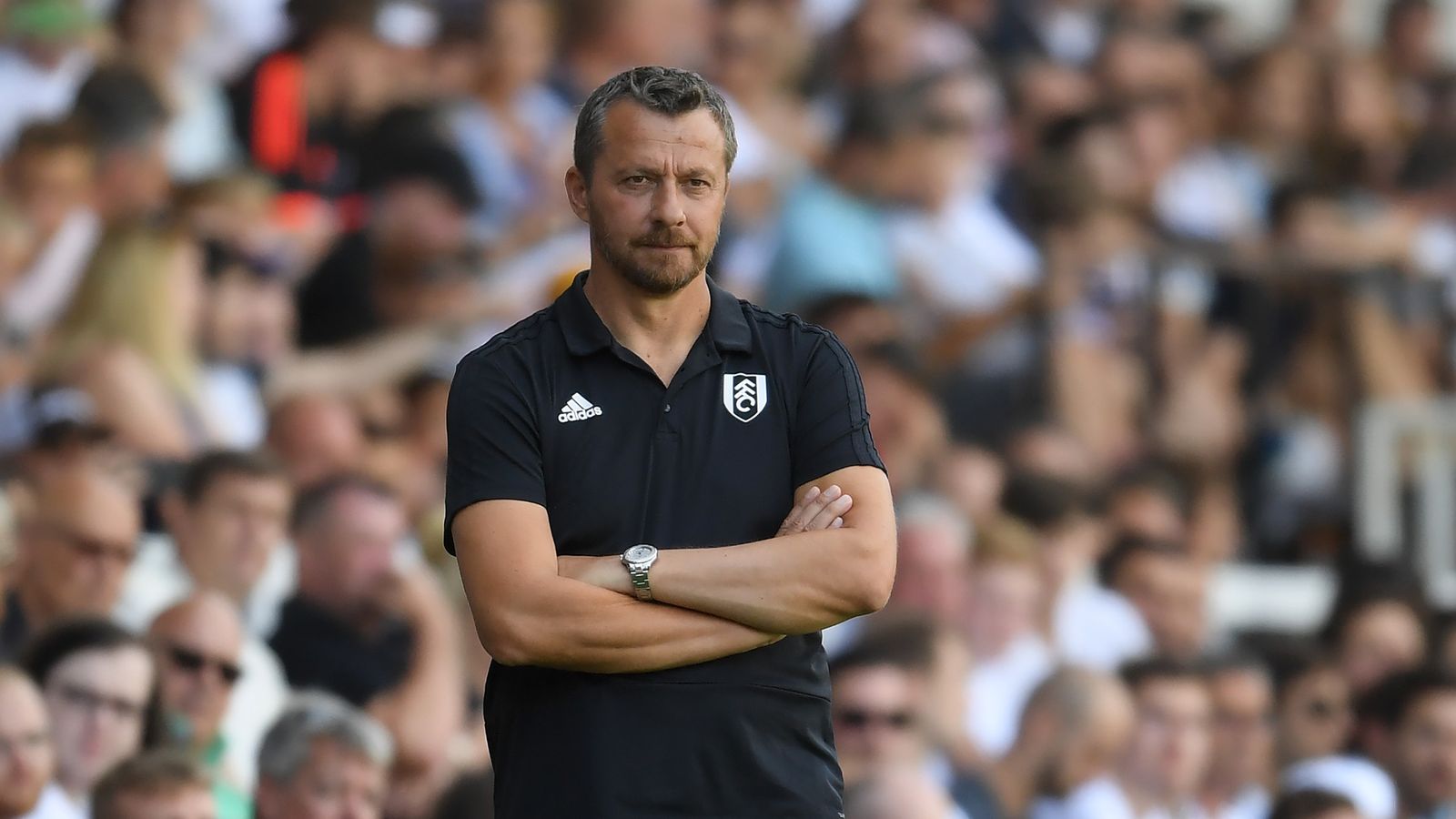 Fulham manager Slavisa Jokanovic says all that concerns him is the form ...